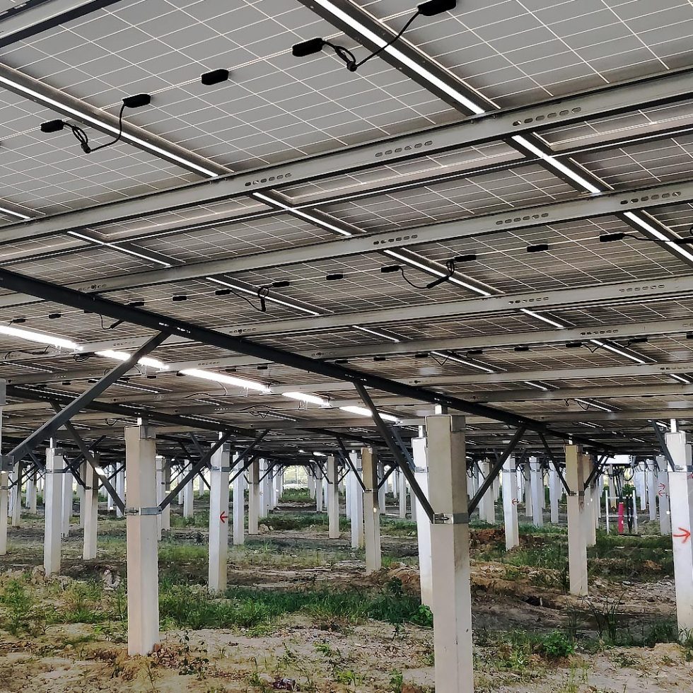 Exclusive pictures of solar projects worth over $1.7 billion
